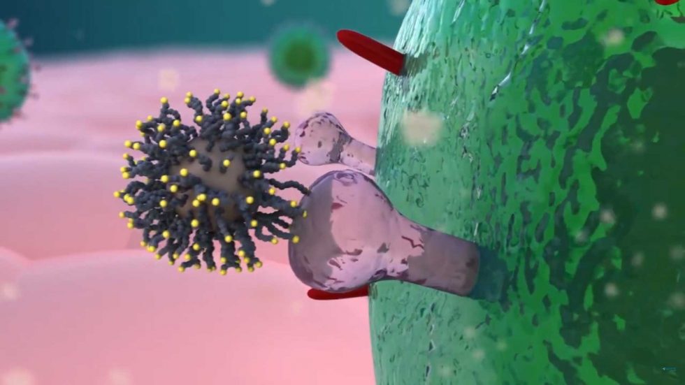 3D Science Animation Videos | EFFE Animation Company