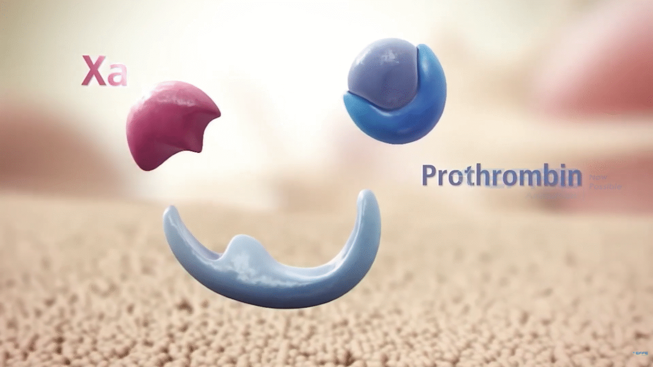 Cardiovascular Mechanism Animation Services | 3D Medical