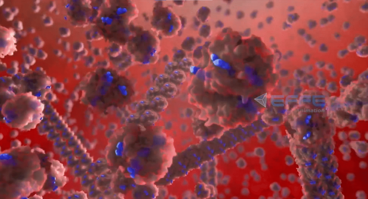 Cellular Mechanism Animation Services | 3D Cell Visuals