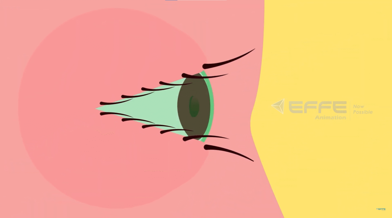 Ophthalmic Anatomy Animation Services | Eye 3D Models